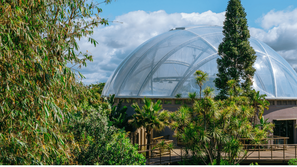 Swamp Ecosystem at Auckland Zoo